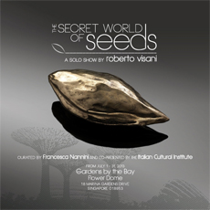 secret-world-of-seeds
